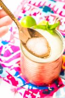 Frozen Moscow Mule Slushies - The Love Nerds